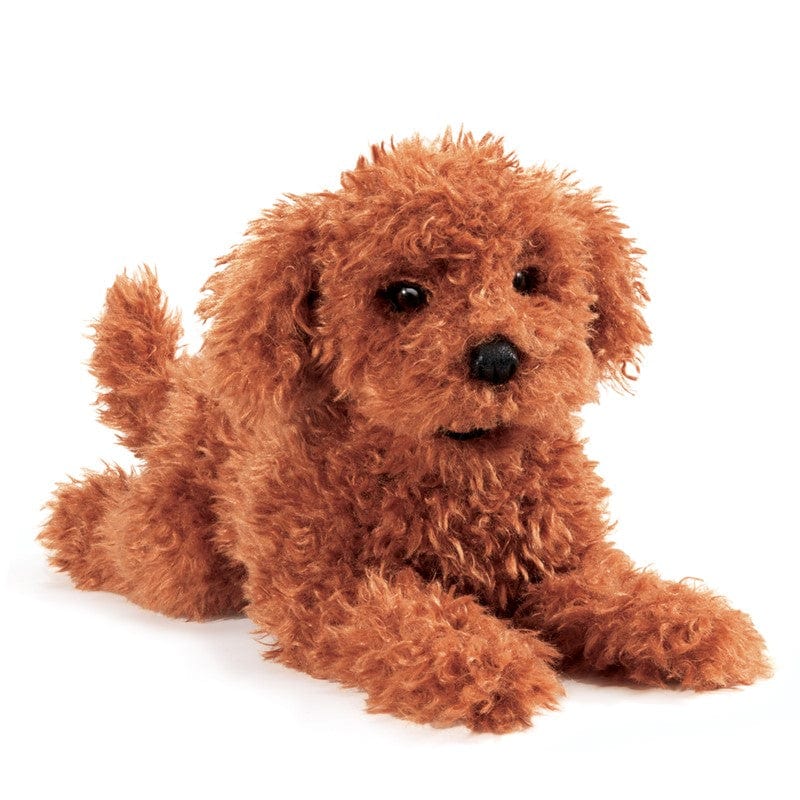 Folkmanis Toy Poodle Puppy Hand Puppet - Ships from Ontario – Jump! The ...