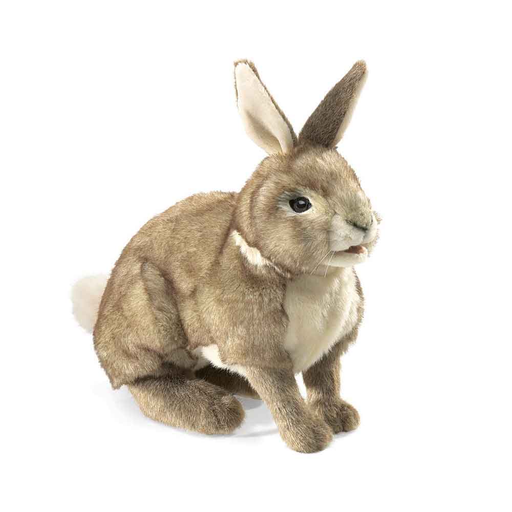 Folkmanis Hand Puppet - Cottontail Rabbit - Ships from Ontario – Jump ...